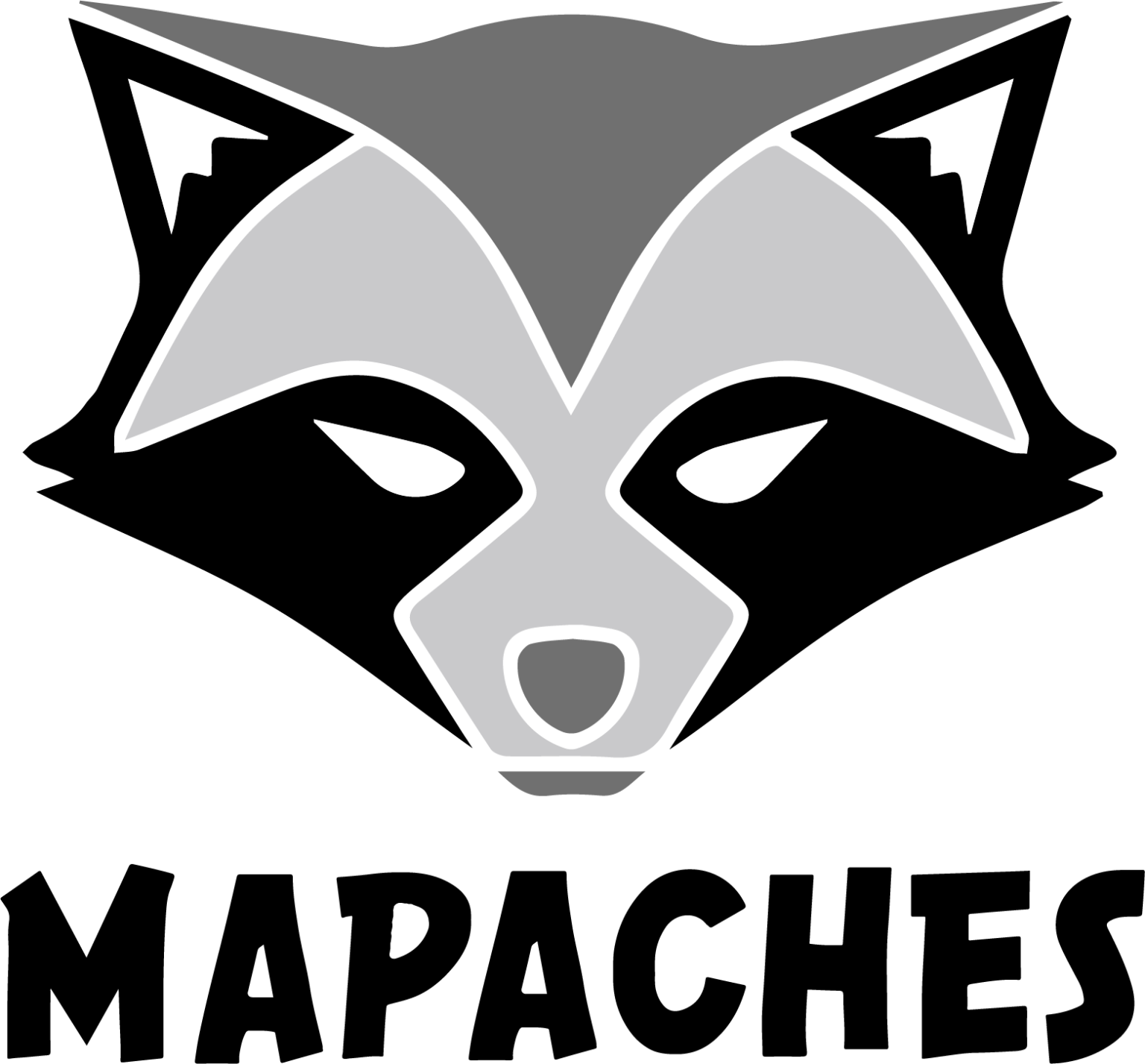Mapaches - Colegio Las Hayas